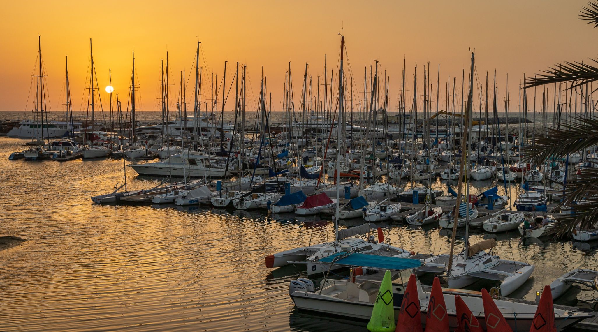 Dubai Offshore Sailing Club | MyDubai Communities