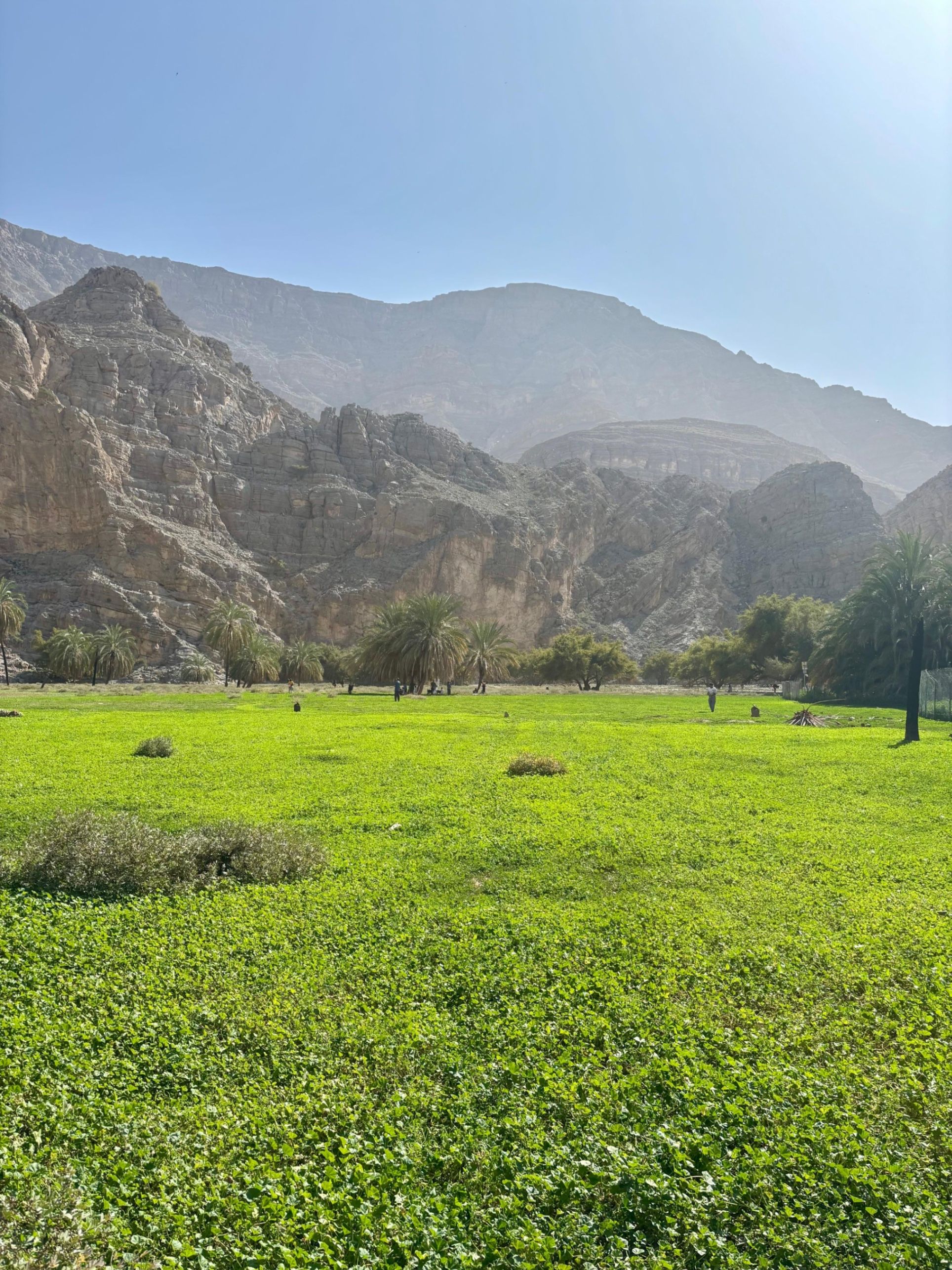 Hidden Oasis of Sal Shahha | MyDubai Communities